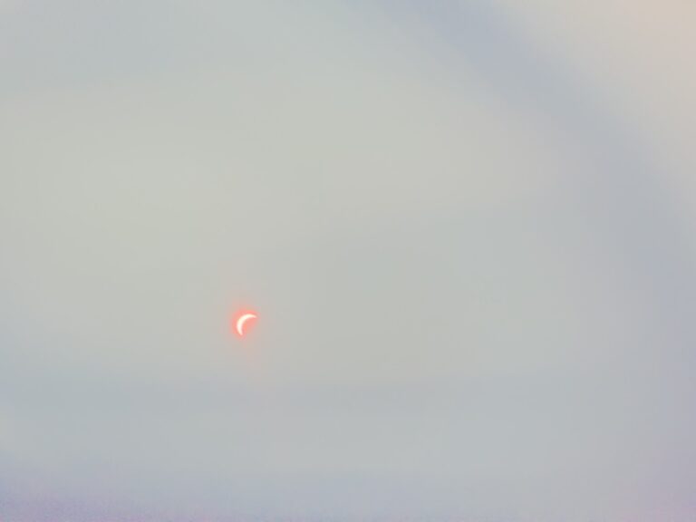 Photos: How New Yorkers Viewed the Eclipse Downtown - Downtown Alliance